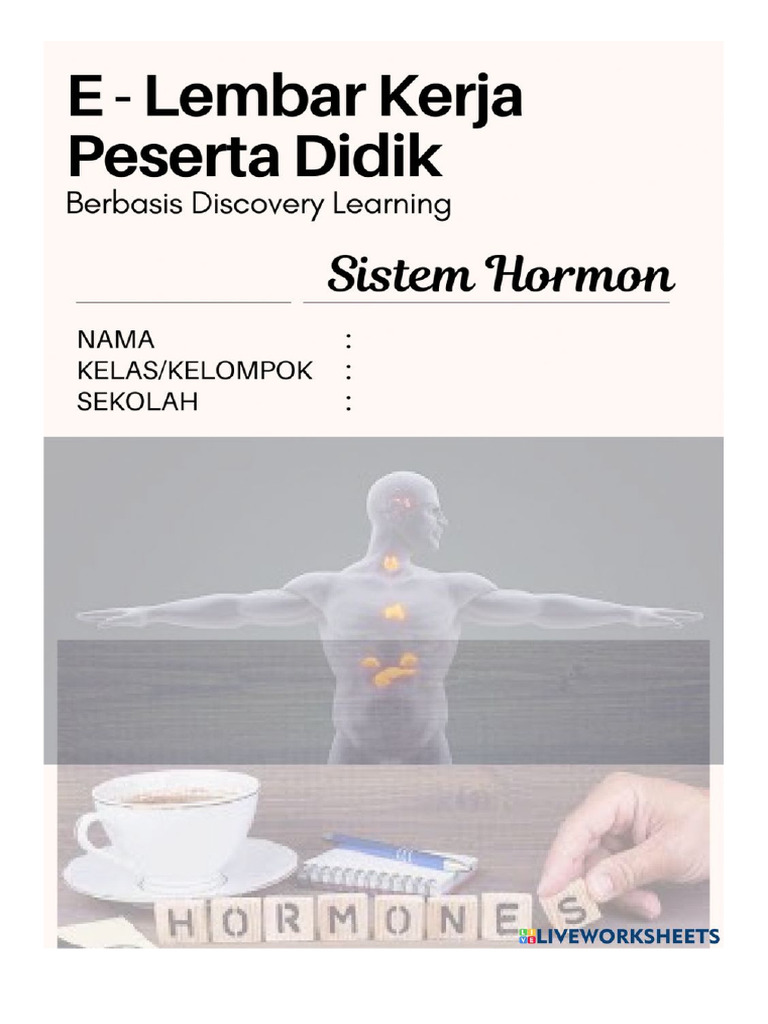 Apa Yang Dimaksud Dengan Sistem Endokrin Dan Bagaimana Cara Kerjanya ...