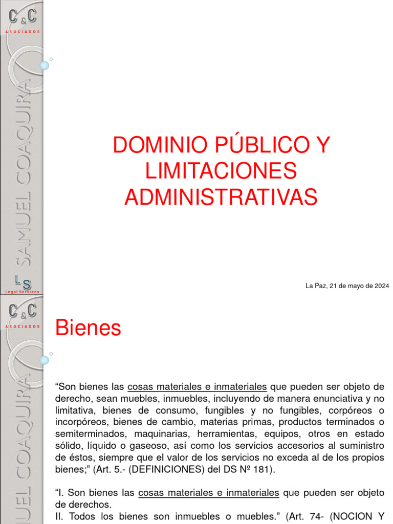 Dom Pub y Lim Adm | PDF | Bienes | Propiedad