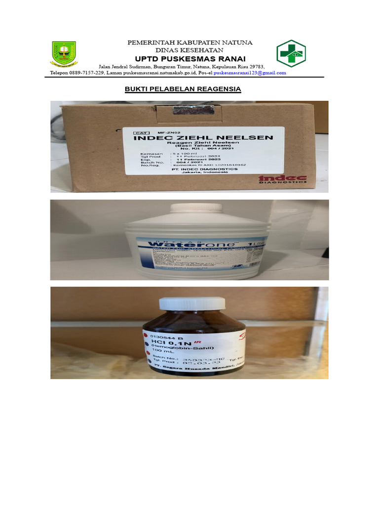 Bukti Penyimpanan Dan Pelabelan Reagensia | PDF