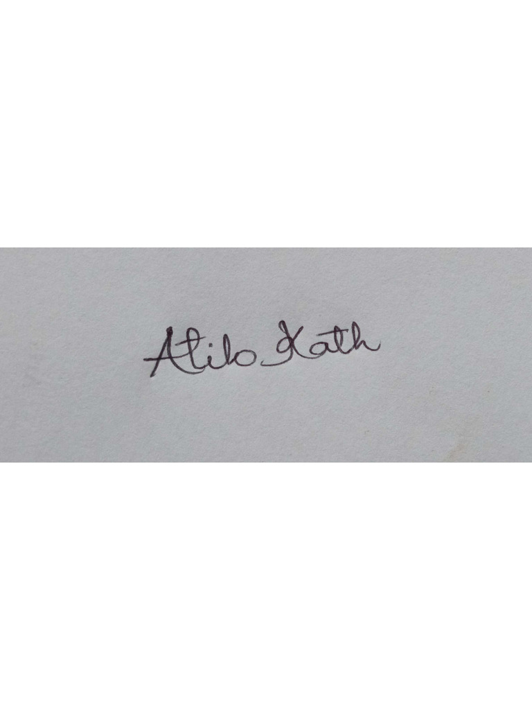 Atilo Sign | PDF