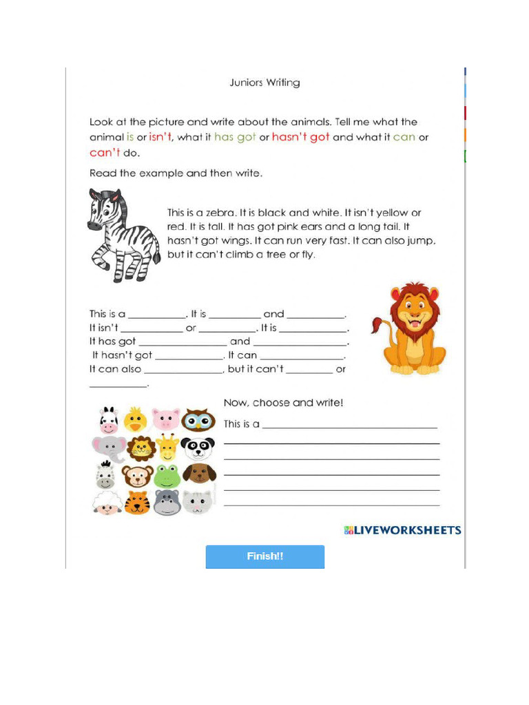 Animal Description Practice | PDF