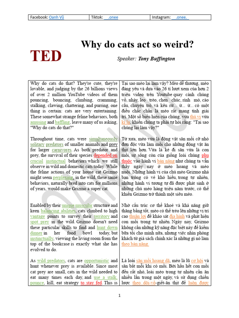 TED script 1 | PDF