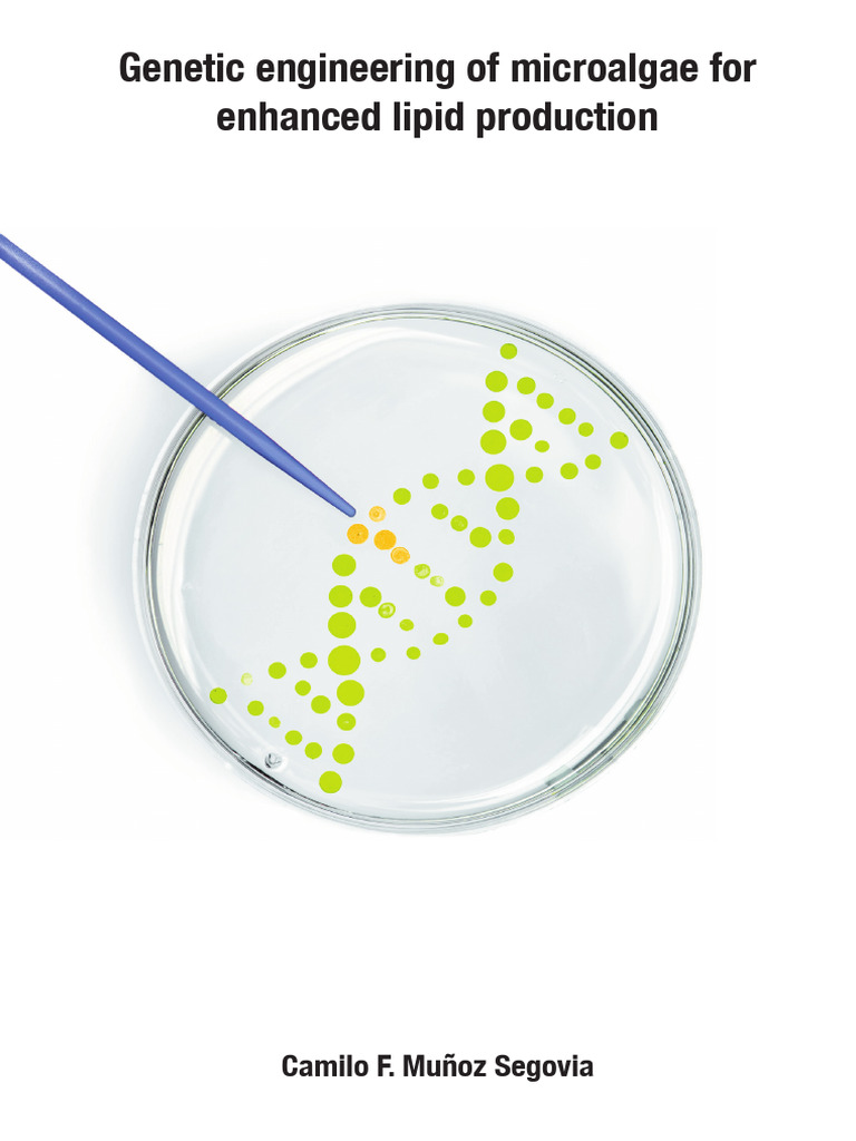 Genetic Engineering of Microalgae For Enhanced Li-Wageningen University and Research 550437 ...