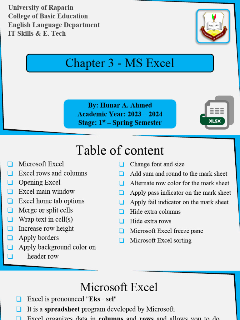 Chapter3 Excel | PDF | Microsoft Excel | Spreadsheet