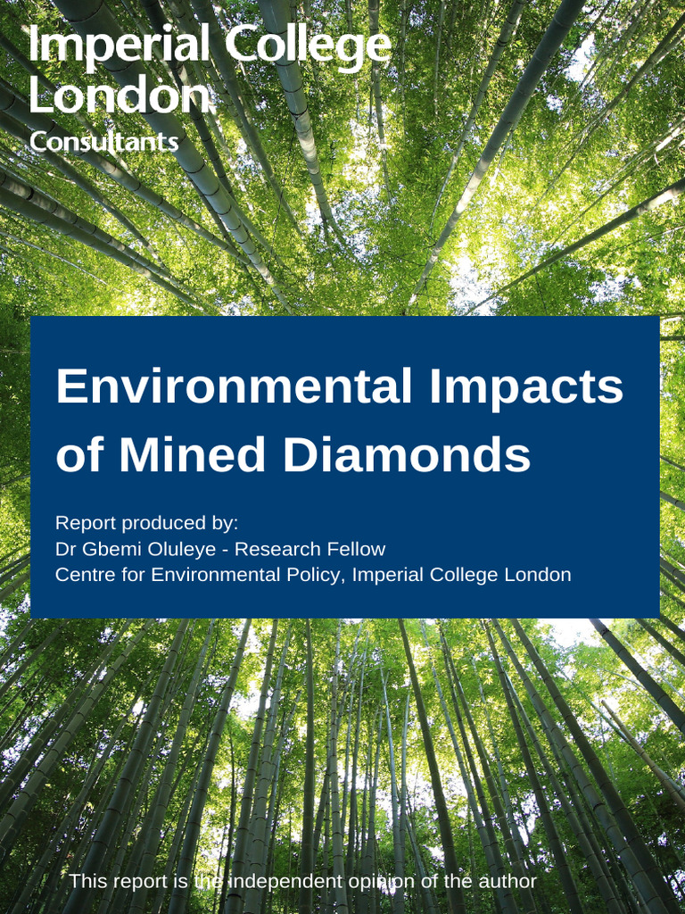GeX4ZZ Final Report Environmental Impacts of Mined Diamonds | PDF | Human Impact On The ...