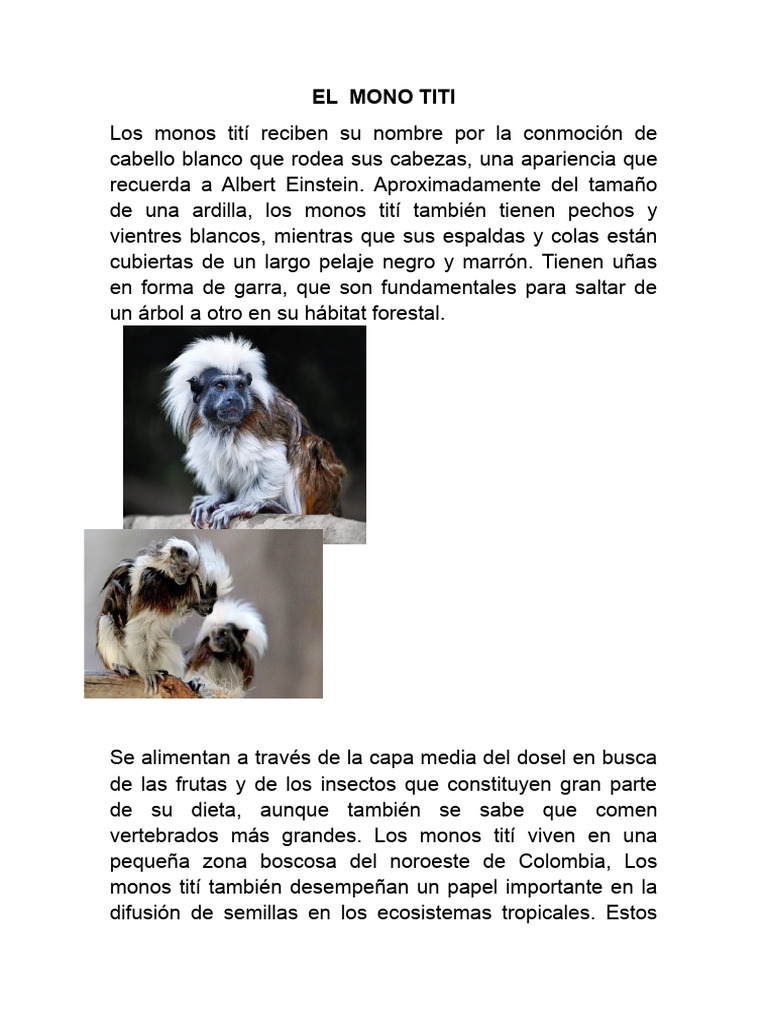 Características del mono tití | PDF