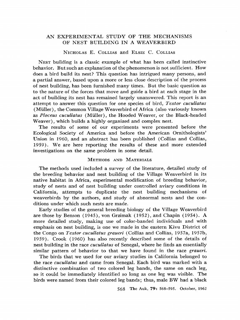 Bio Exp (Nest Building) | PDF | Birds | Green