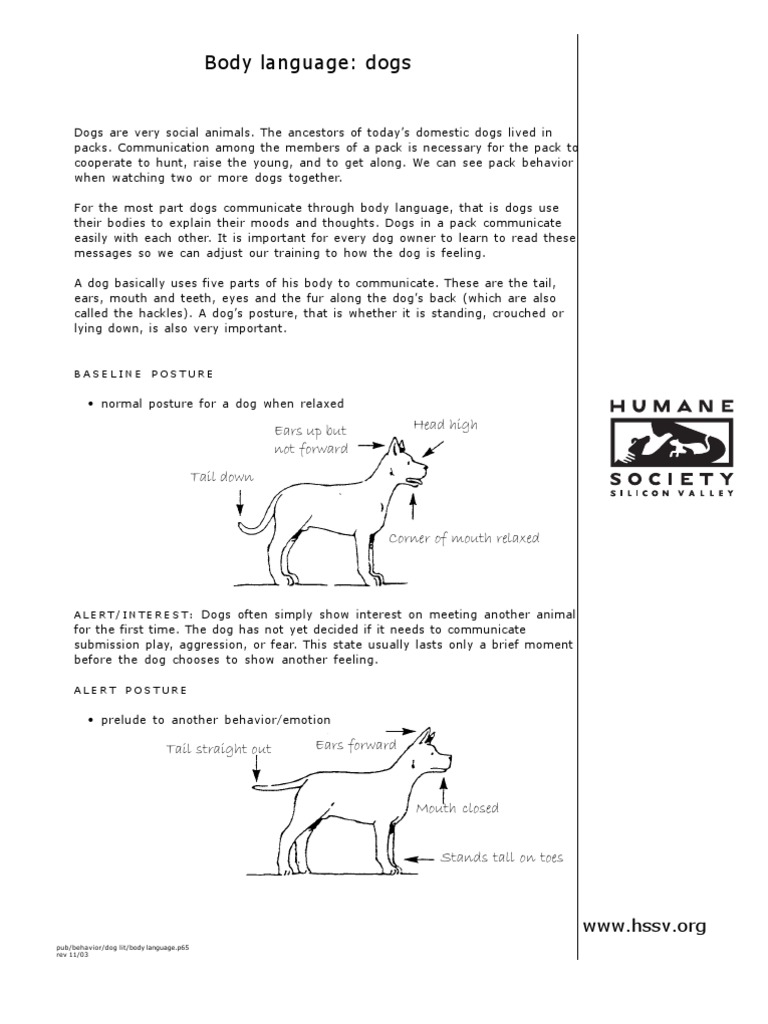 Dog Body Language | Body Language | Pack (Canine)