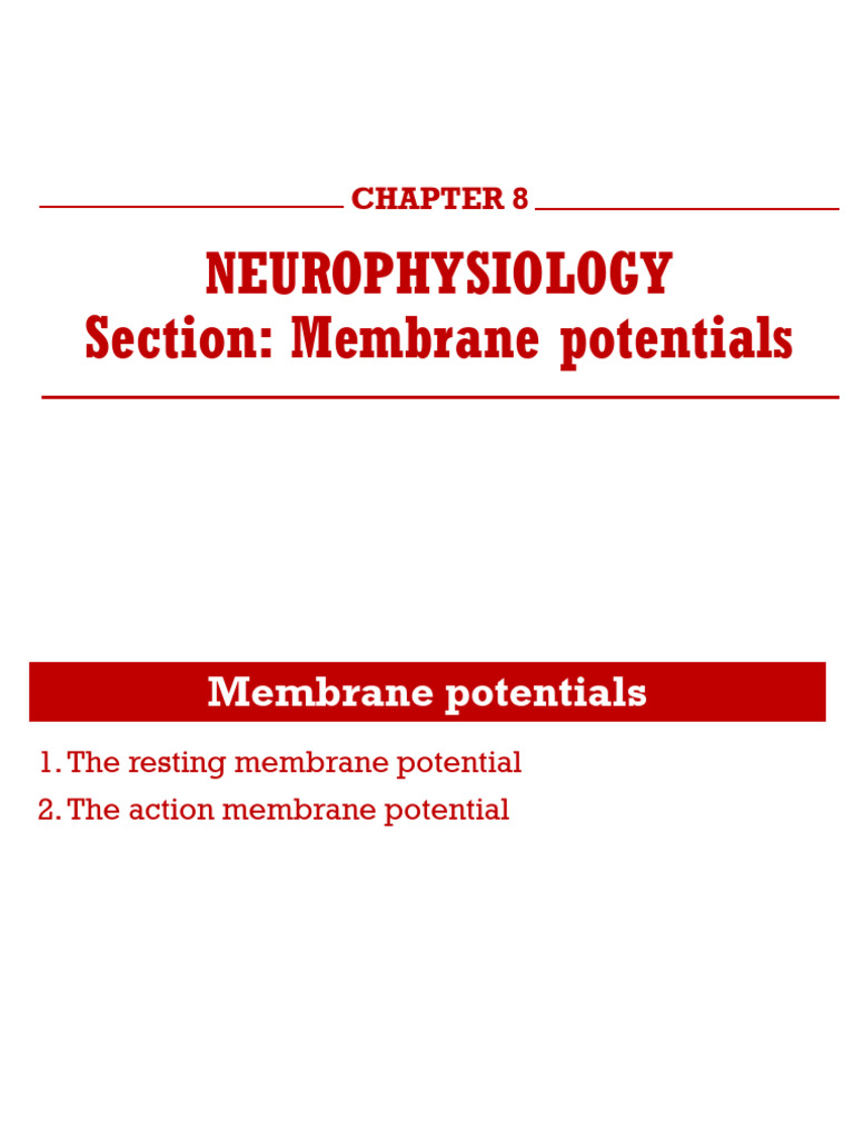 Membrane Potentials in Neurons | PDF