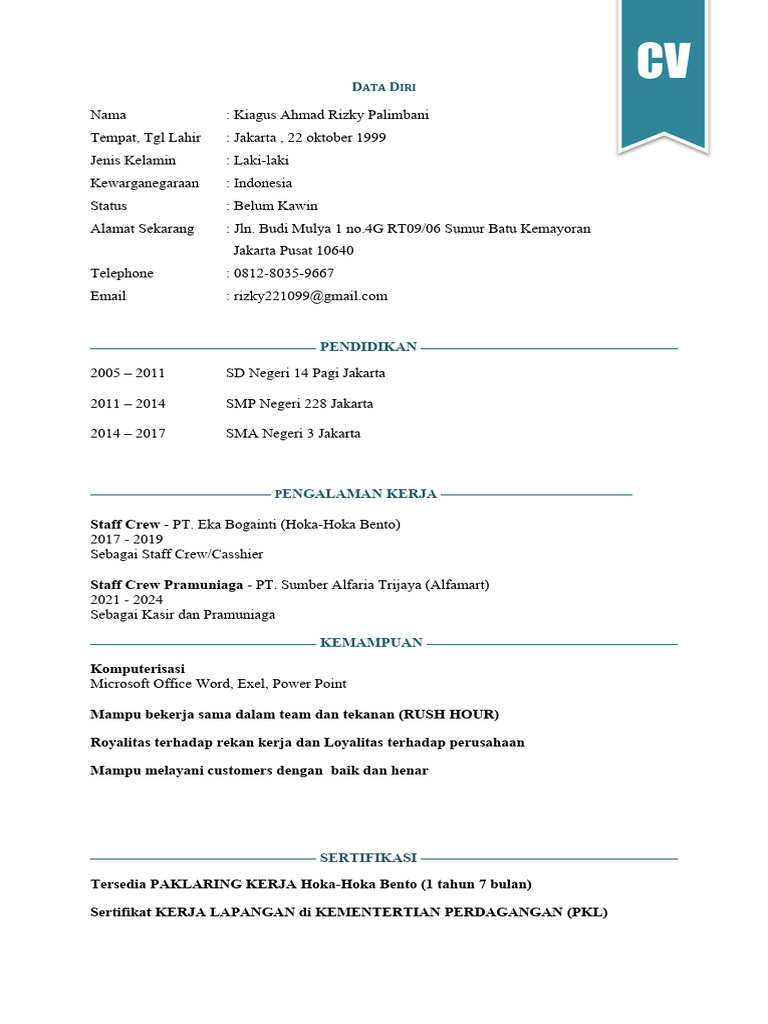 CV Dan Surat Lamaran 2024 | PDF