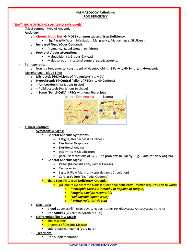 Iron Deficiency Anemia Overview | PDF | Anemia | Blood