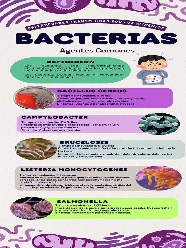 Infografía de Las Bacterias | Descargar gratis PDF | Diarrea | Carne