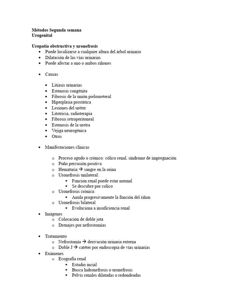 Uro Genital | PDF | Sistema urinario | Riñón