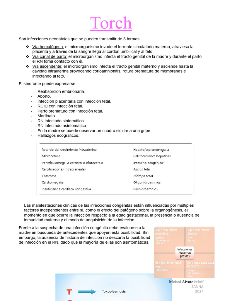 Torch | PDF | Especialidades Medicas | Medicina CLINICA