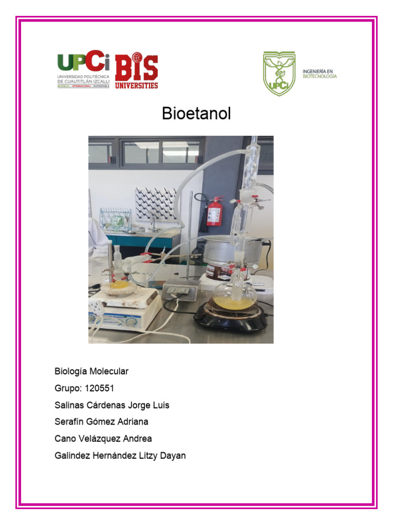 Bioetanol | PDF | Fermentación | Combustible de etanol