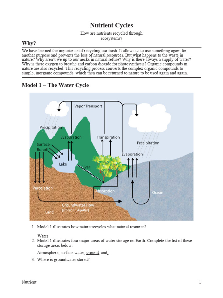 Activity Nutrient Cycles | PDF | Water | Water Cycle
