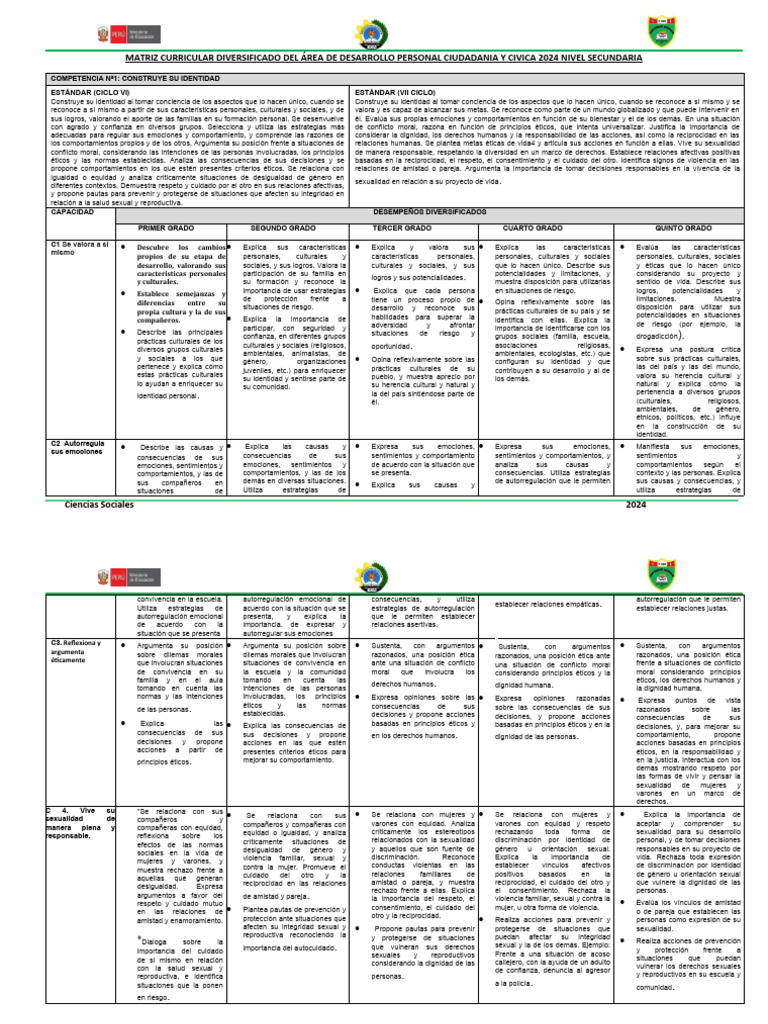 Matriz de Competencias 2024 Secundaria | PDF | Mediación | La ...