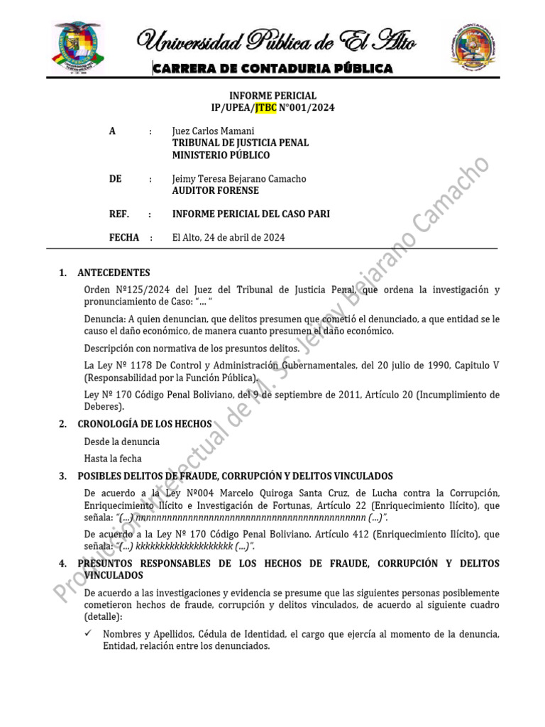 Informe Pericial Jtbc 2024 Pdf Ley Pública Crímenes