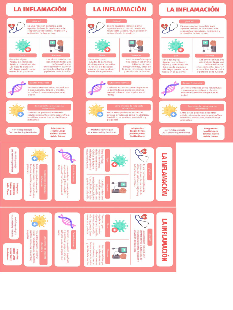 Documento Morfo | PDF