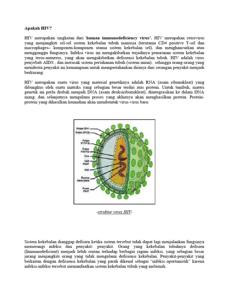 Panduan Dasar HIV/AIDS | PDF