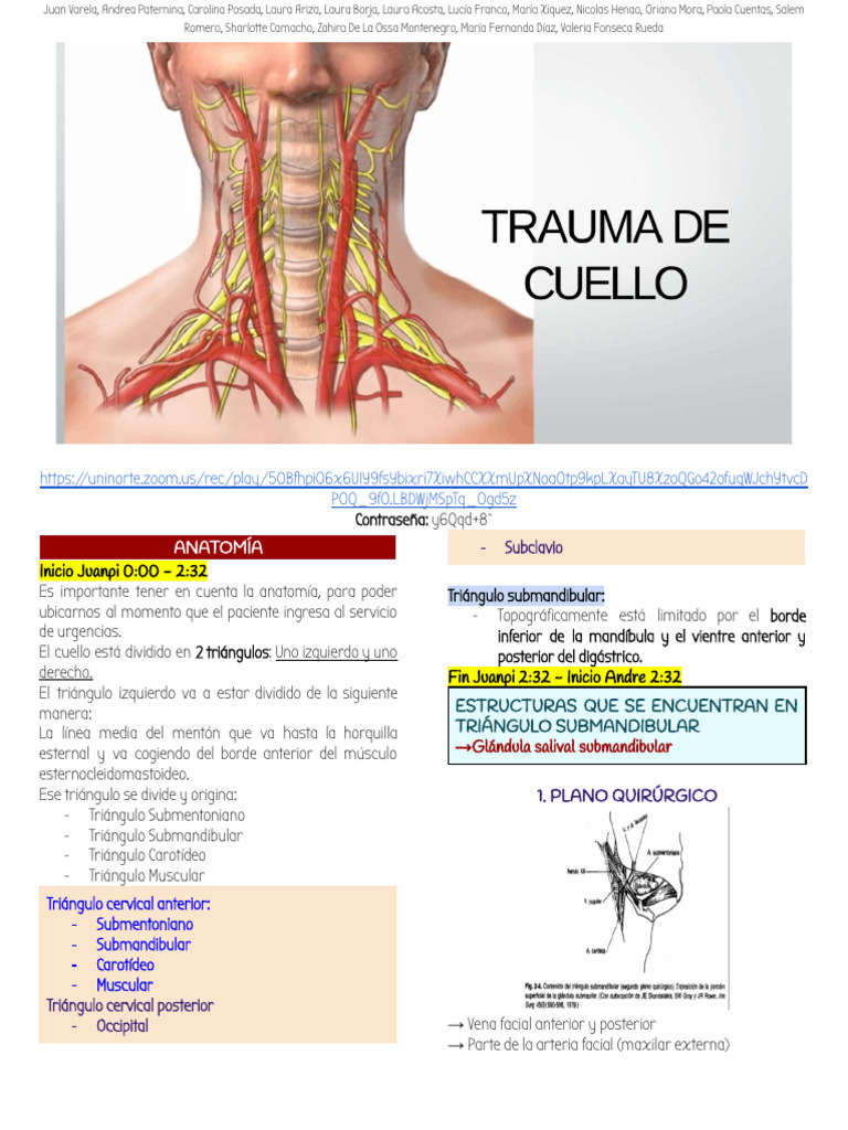 2. Trauma de cuello | Descargar gratis PDF | Cabeza y cuello humanos ...