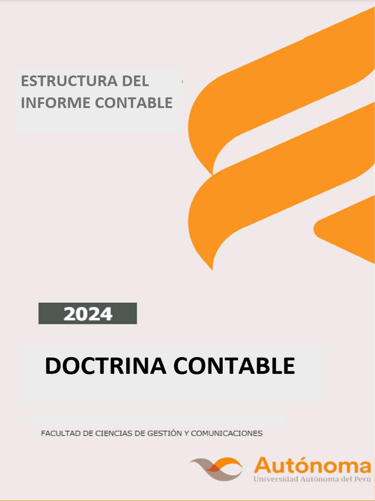 Informe Contable | PDF