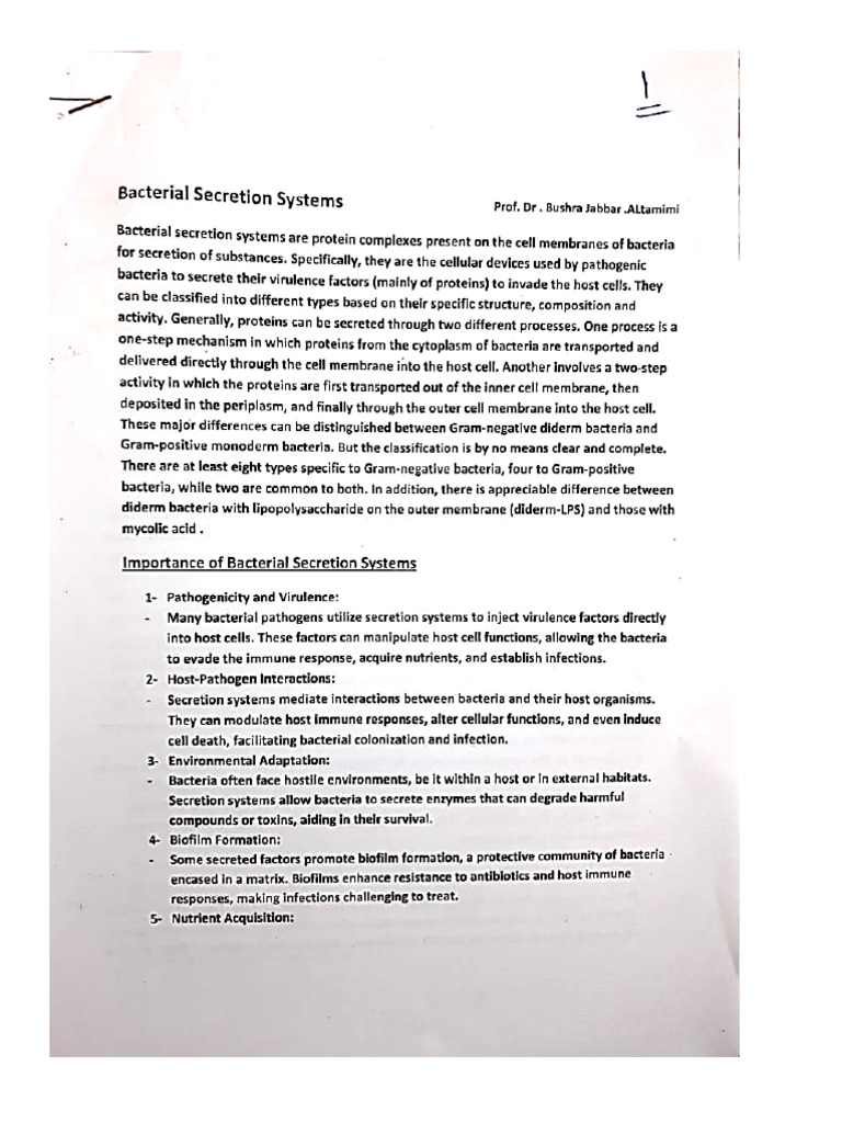 Se Creation | PDF