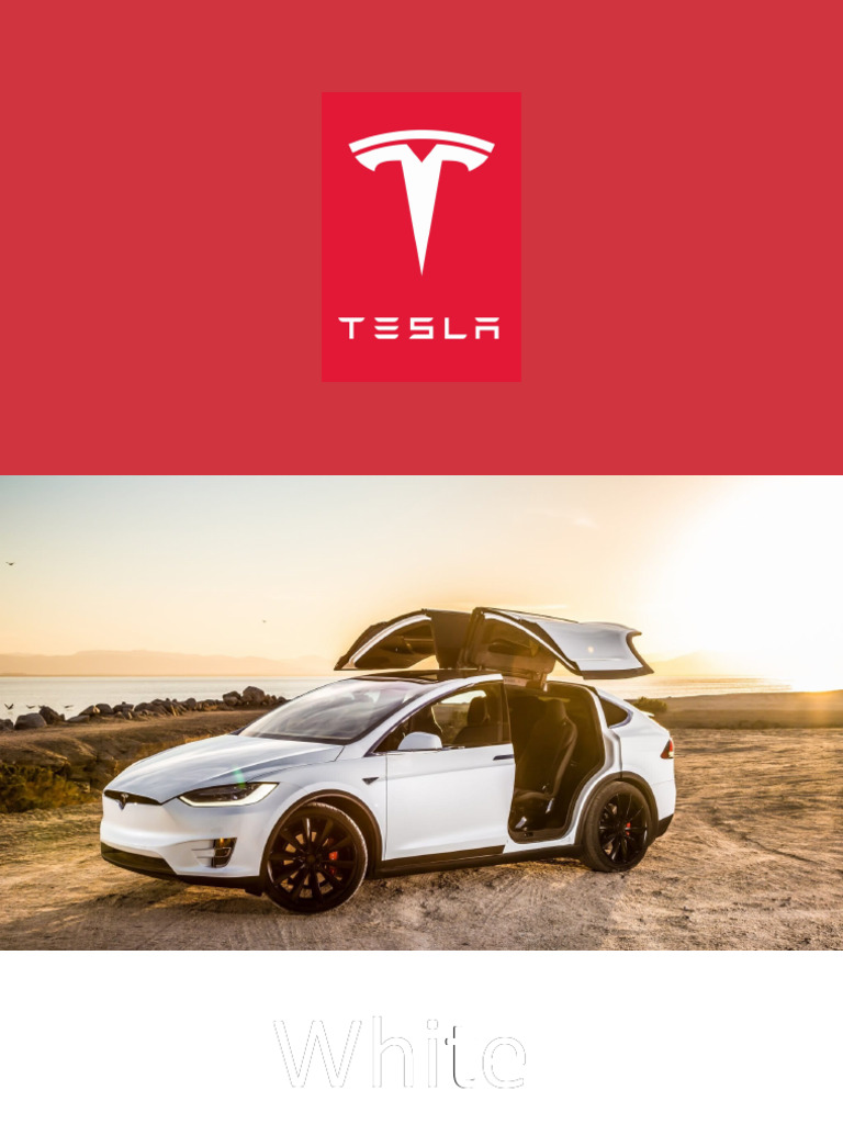 Tesla Model X | PDF