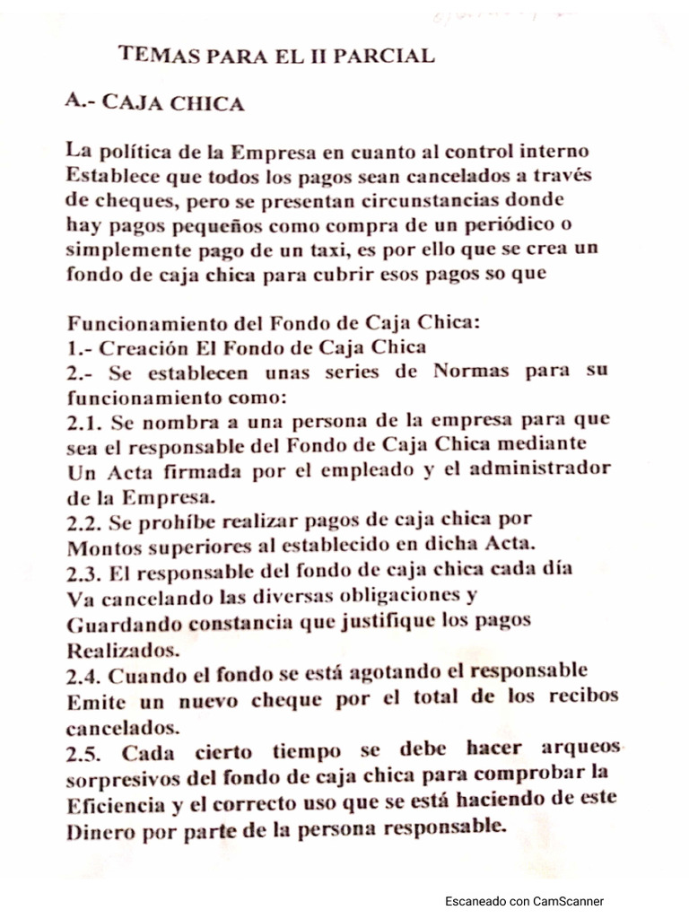 Tema #9 Caja Chica | PDF