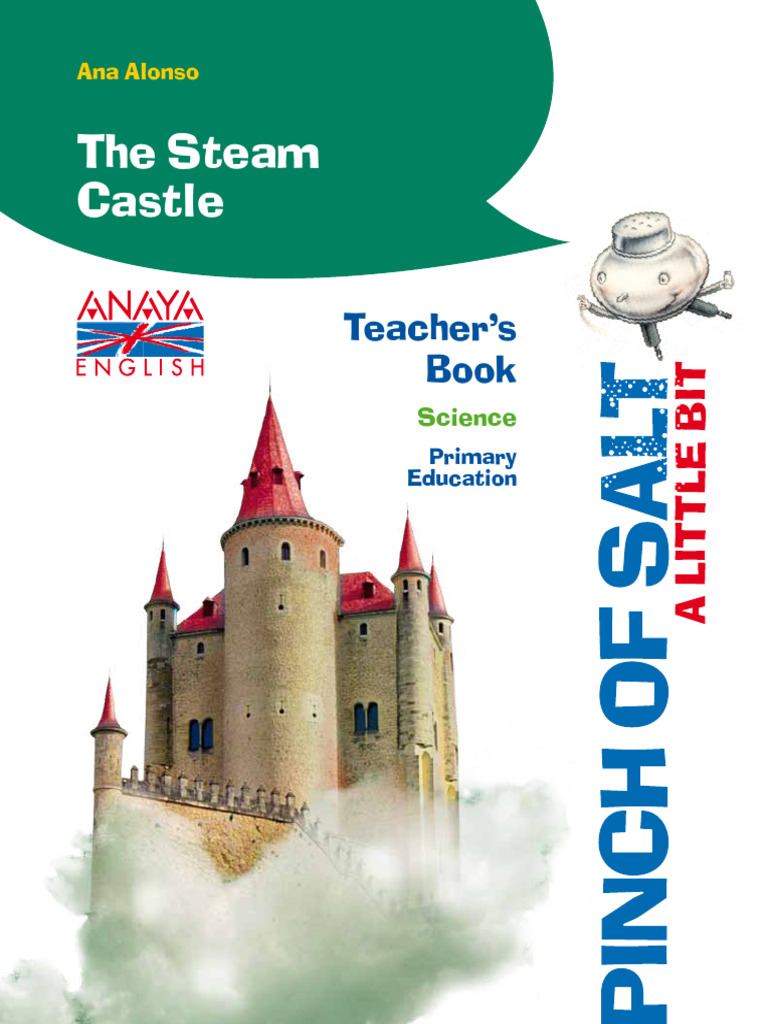 Steam Castle | PDF | Renewable Energy | Energy Development
