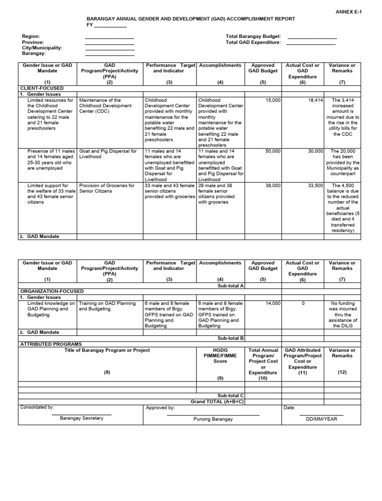 ANNEX-E-1-Barangay-GAD-AR-Form | Download Free PDF | Economies