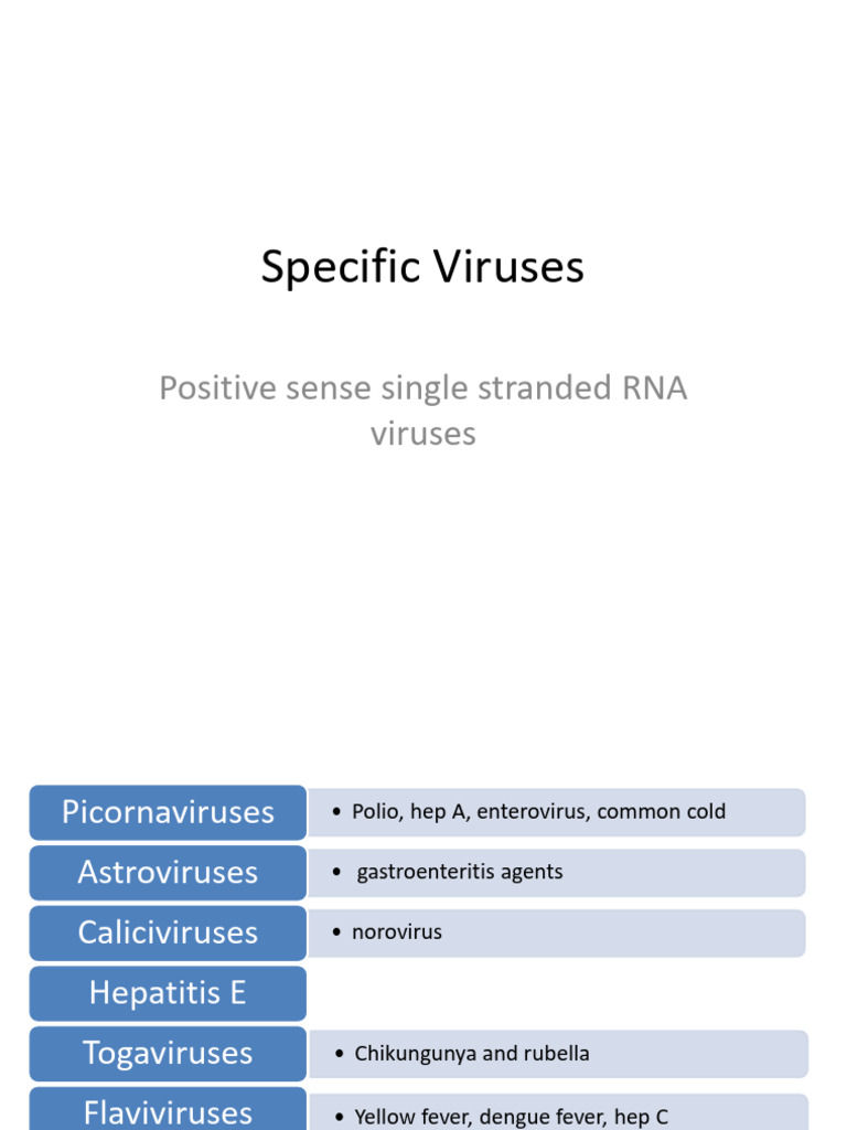 7 Positive Sense Single Stranded RNA Viruses | PDF | Common Cold | Vaccines