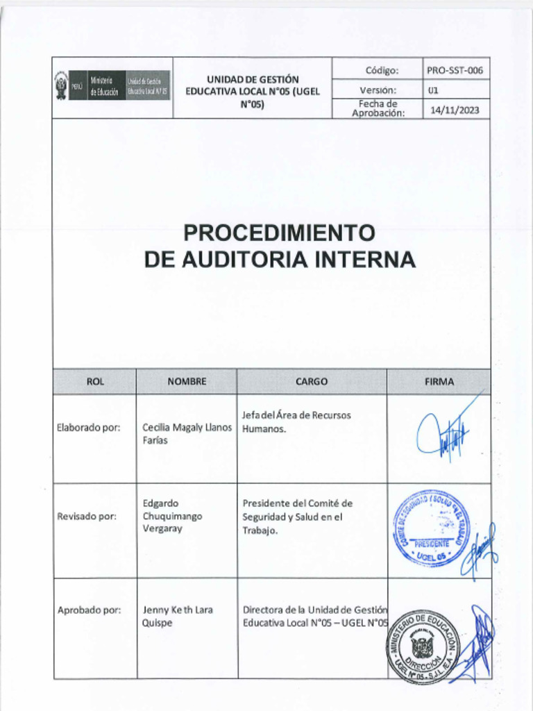 Procedimiento de Auditoria Interna | PDF