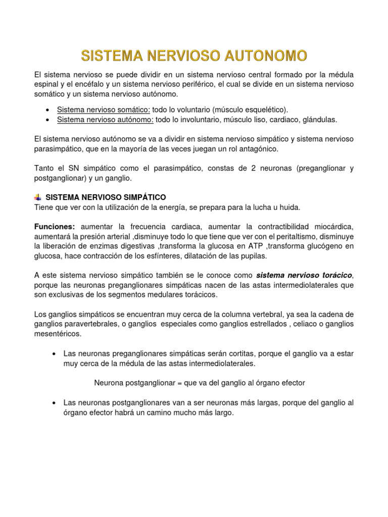 Resumen de Sna | PDF | Sistema nervioso | Neuroanatomía