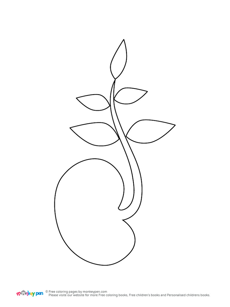 05 Growing Seed Colouring Picture | PDF