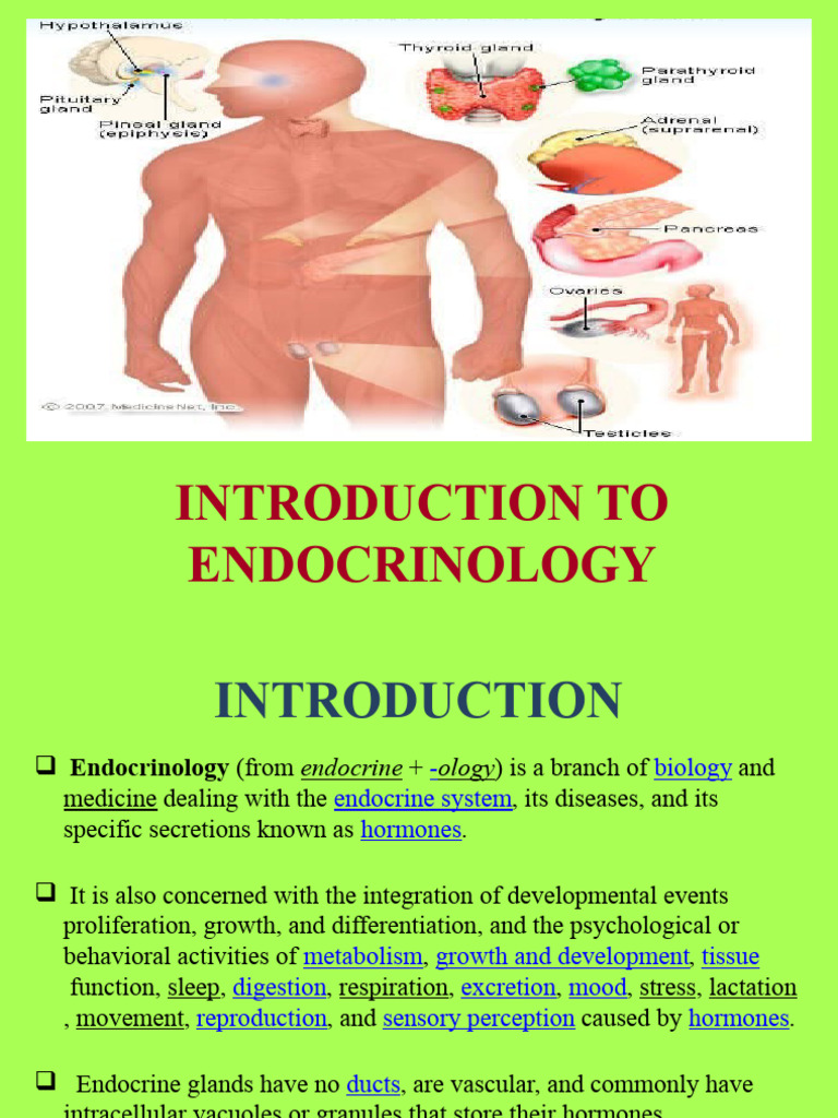 Introduction To Endocrinology | PDF | Endocrine System | Hormone
