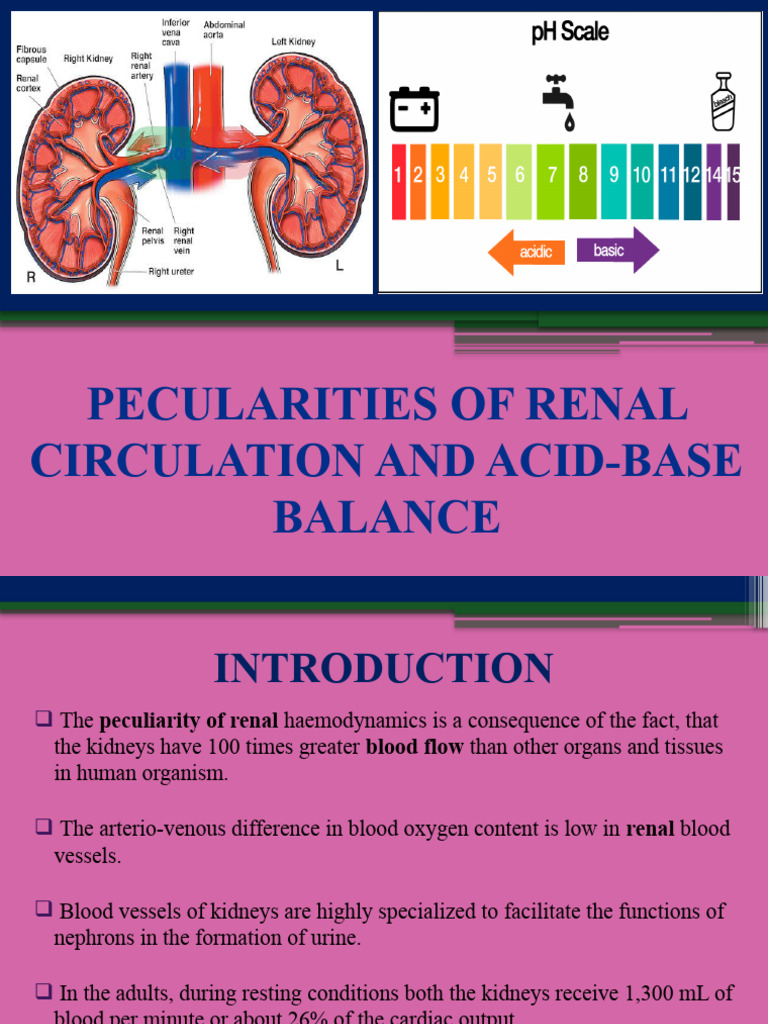 Pecularities of Renal Circulation and Acid-Base Balance | PDF | Kidney | Bicarbonate