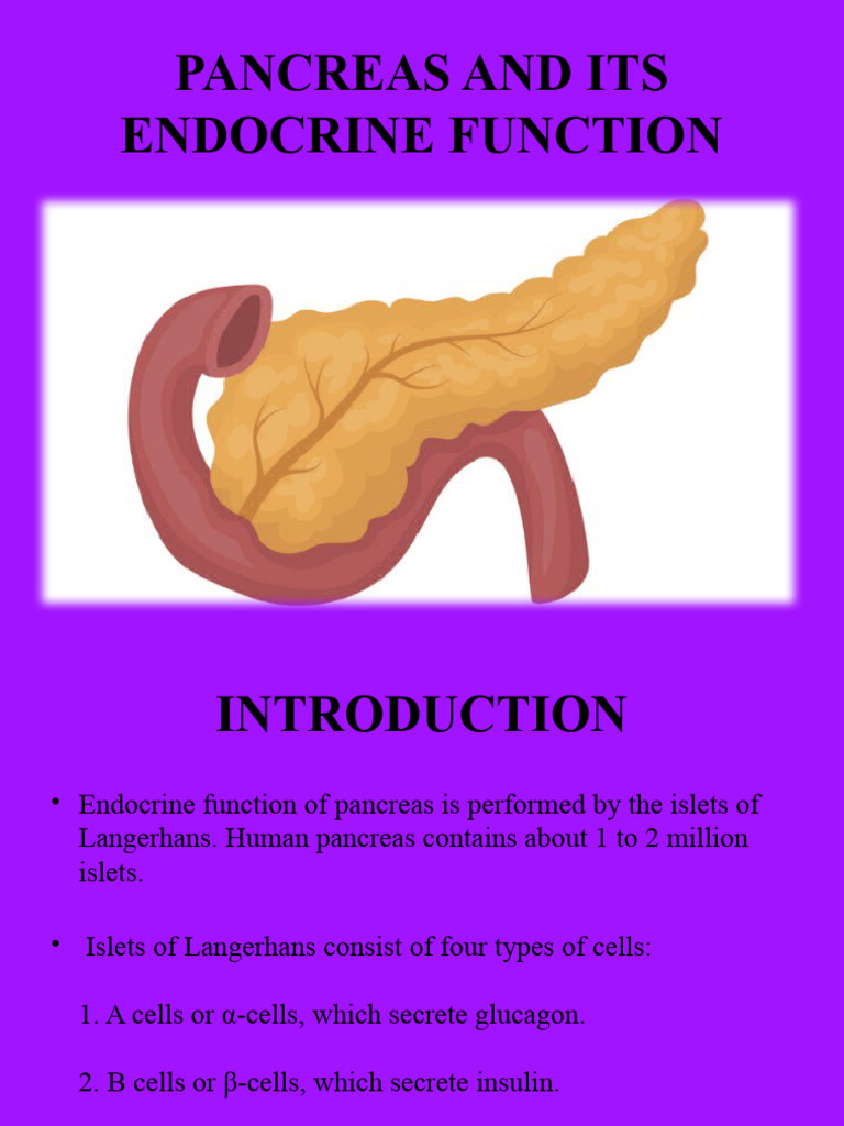 Pancreas and Its Endocrine Function | PDF | Insulin | Diabetes