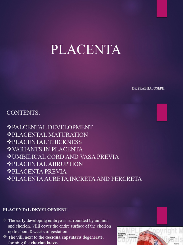 Placenta | PDF | Placenta | Maternal Health
