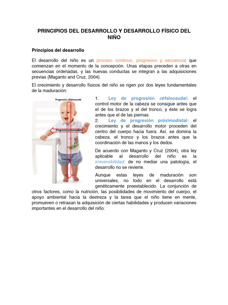 PRINCIPIOS DEL DESARROLLO Y DESARROLLO FÍSICO | PDF | Neurona | Cerebro