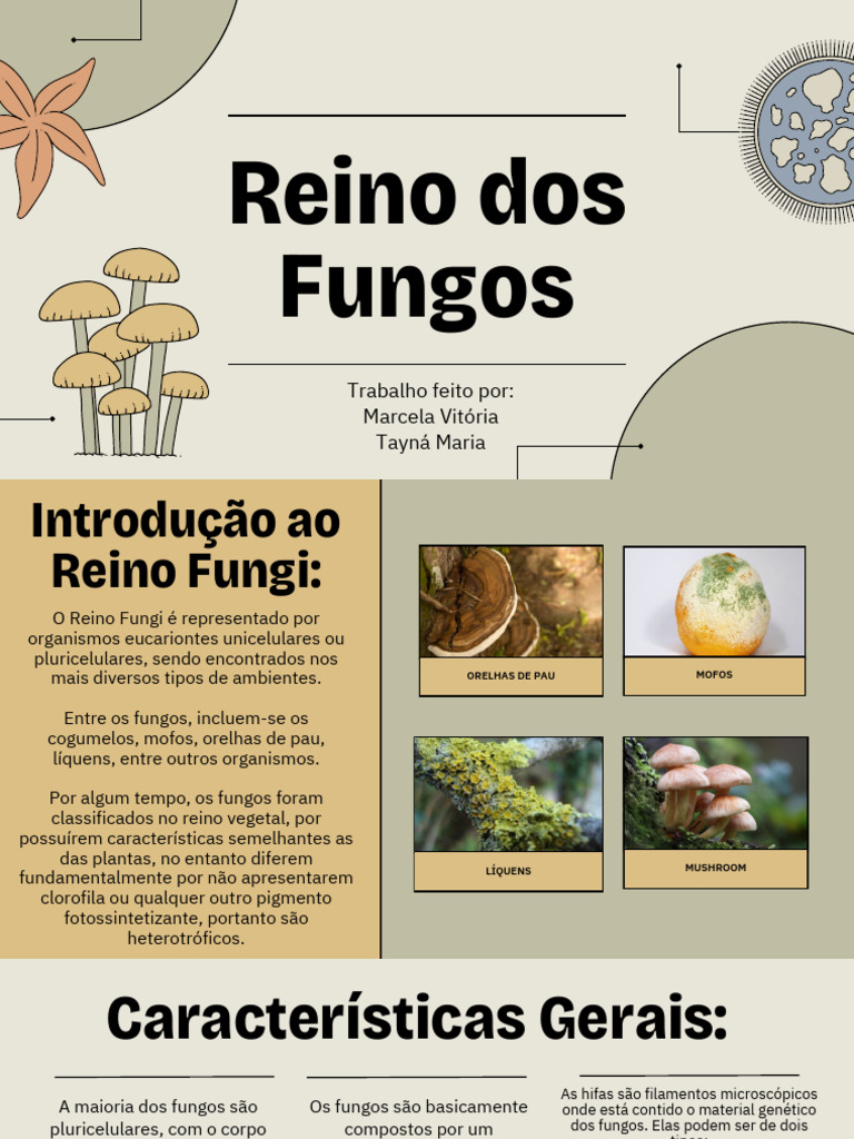 Trabalho de Biologia Reino Fungi. - 20240515 - 141928 - 0000 | PDF ...