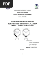 Placenta Previa 2025 PDF | PDF | Placenta | El embarazo