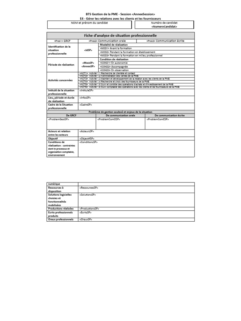 Fiche d'analyse GRCF BTS GPME | PDF | Business | Informatique