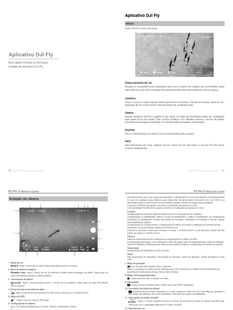 DJI_Mini_SE_User_Manual_v1.0_ptBR - APLICATIVO DJI FLY | Download ...