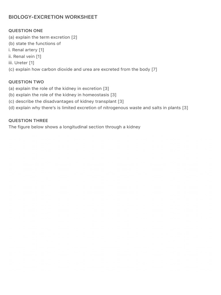 Biology-Excretion Worksheet | PDF