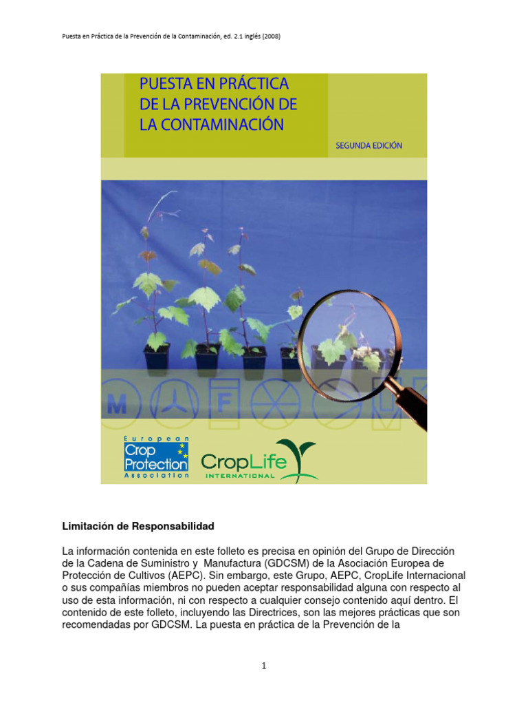 Puesta en Práctica de la Prevención de la Contaminación | PDF ...