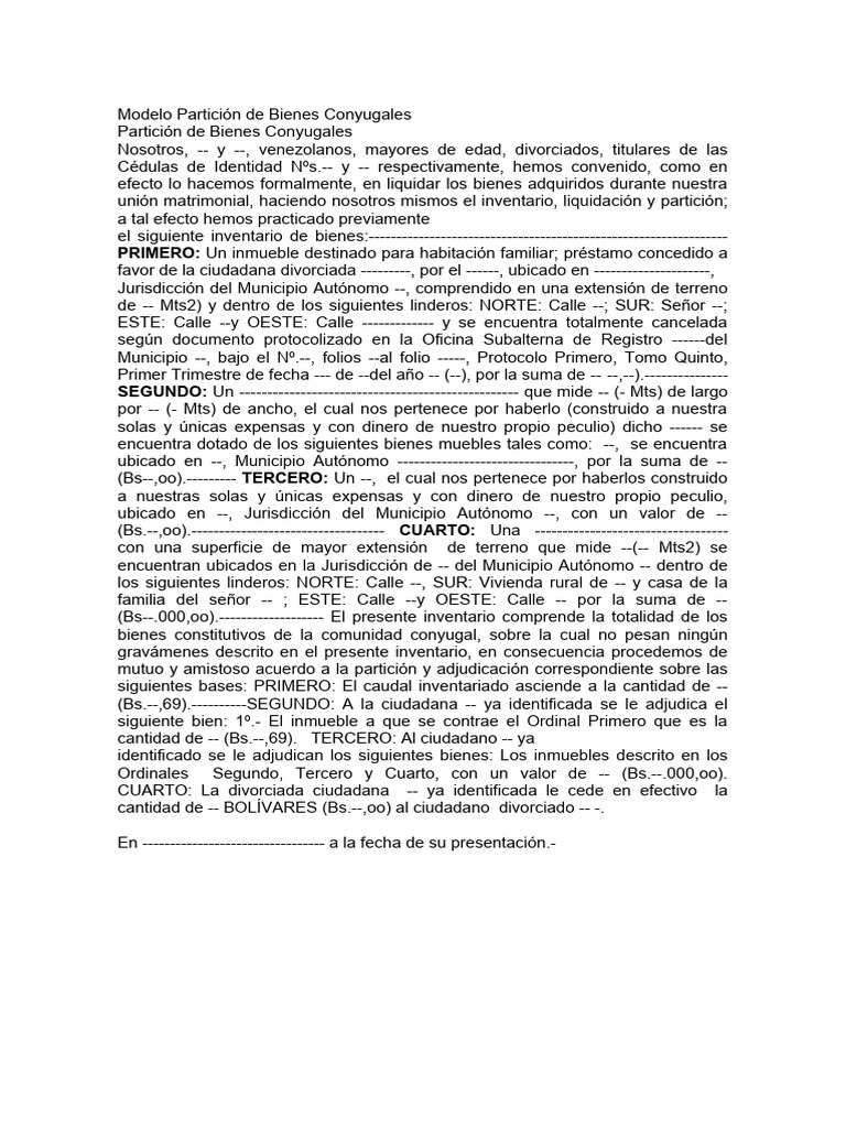 Modelo Partición de Bienes Conyugales 1 | PDF