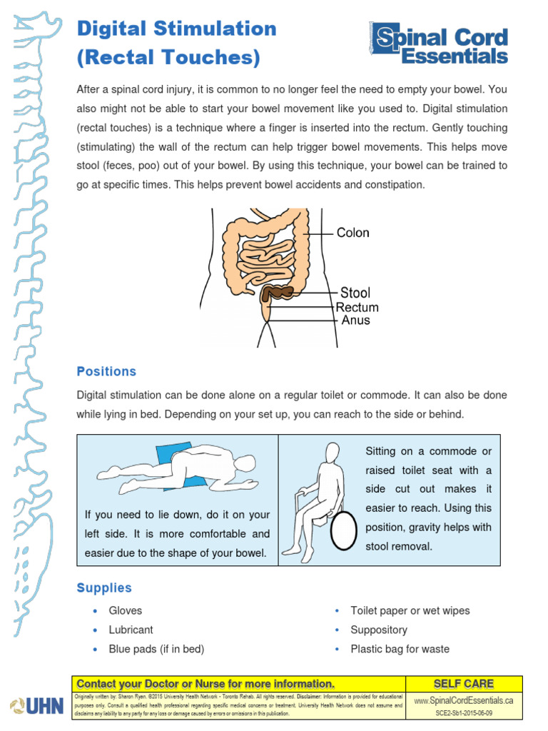 Sce2 Sb1 Digital Stimulation Rectal Touches | PDF | Rectum | Clinical Medicine
