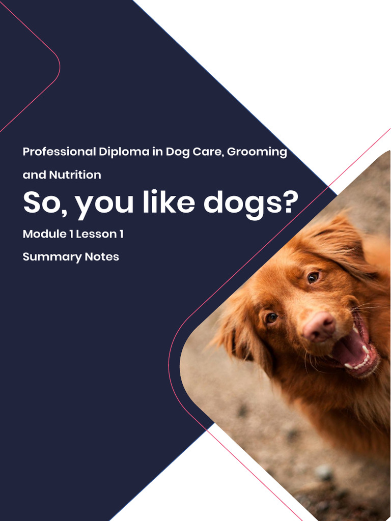 Dog Care Module 1 Lesson 1 Summary Notes | PDF | Dogs | Subspecies Of ...