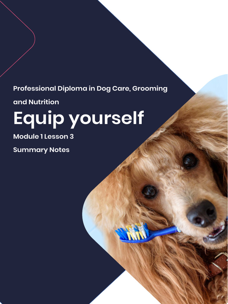 Dog Care Module 1 Lesson 3 Summary Notes | PDF